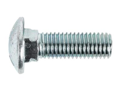 Κίνα Διαθέσιμο Custom Carriage Bolt 8.8 Hot Dip Galvanized Hdg Carriage Bolt Παρασκευαστές προς πώληση