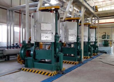 Cina unità della pianta dell'espulsore dell'olio di senape del nocciolo di palma 50tpd in vendita