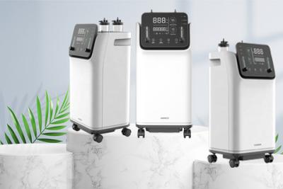 Cina il concentratore portatile l'O2 5L di 220V 110V regola l'elevata purezza con atomizzazione in vendita