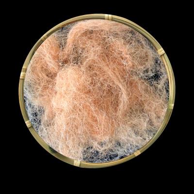 Chine Plein fibre discontinue de polyesters teinte d'haltère par dopant mat pour l'industrie textile à vendre