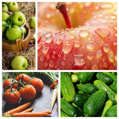 Κίνα 500kg Προσαρμογή Εμπορική βιομηχανική πλυντήρια φρούτων και λαχανικών σε απευθείας σύνδεση προς πώληση