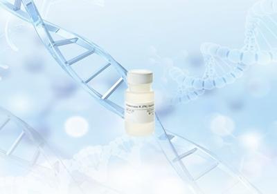 Cina Soluzione della proteinasi K di PCR di Bunnyteeth per l'estrazione del RNA/DNA in vendita