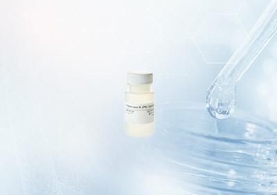 Cina Sigma della proteinasi K nell'estrazione del DNA (SDS, amplificatore) in vendita