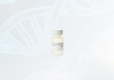 Cina Alta soluzione enzimatica della proteinasi K di attività per i corredi dell'estrazione di RNA/DNA in vendita