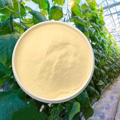 Hydrolysate φυτικής προέλευσης βασισμένο στην πρωτεΐνη λίπασμα 70% 65072-01-7 σκονών αμινοξέος