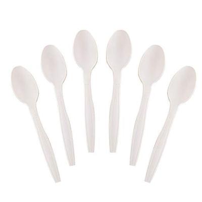 Compostable Cutlery Biodegradable Spoon and Fork Knife Tableware PSM for