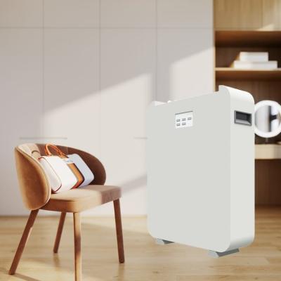 Cina Sistema di accumulo di batterie per la casa residenziale LiFePO4 Tipo OEM polifunzionale in vendita