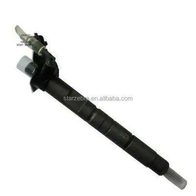 중국 Common Rail Fuel Injector Part Name Injector 0445116053 for Chinese Market 판매용