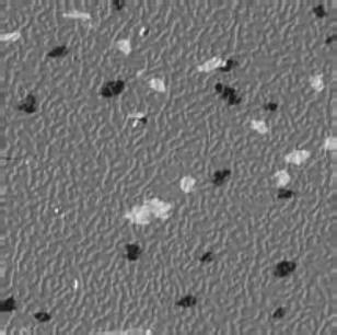 Cina resistenza agli'agenti atmosferici eccellente di pavimentazione di gomma ignifuga di 2mm in vendita