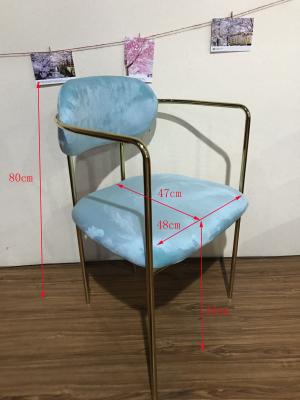 Китай Чугунный бархат 48cm 80cm голубой обедая стулья продается