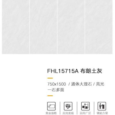 Cina Eleganti piastrelle di porcellana resistenti agli graffi Matt Finish per il soggiorno in vendita