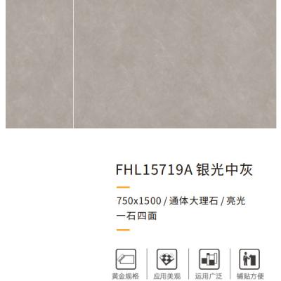 Cina Piastrelle di porcellana grigio per interni resistenti alle macchie e agli graffi con finitura matt in vendita