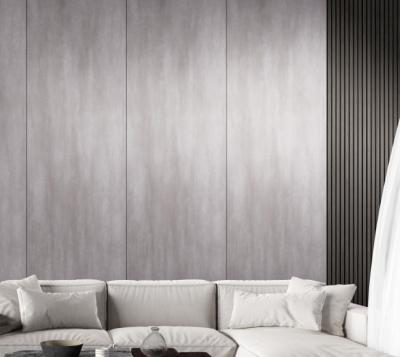 Cina 800*2600mm pannelli di porcellana grigio per applicazioni versatili in vendita