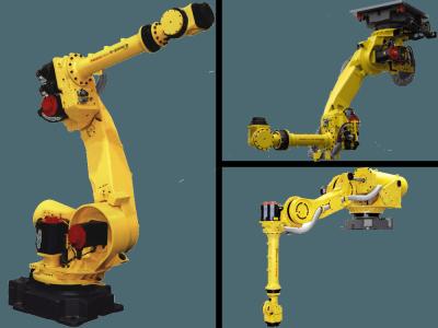 China Palletizer Fanuc R-2000iC/125L Industrial Robot Manipulator For Palletizing  With Vacuum Suction Cup Gripper for sale
