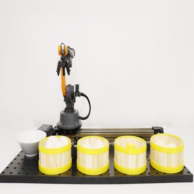 China WLkata 6 Axis Mini robot industrial Inteligencia artificial para la educación en venta