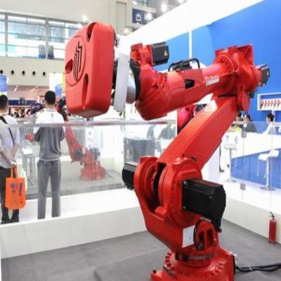 China Brazo robótico de manipulador industrial NS-16-1.65 para robot de recogida y colocación en venta