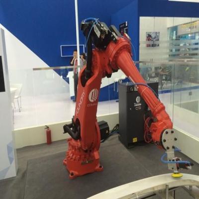 China Brazo robótico de manipulador industrial NS-16-1.65 para robot de recogida y colocación en venta