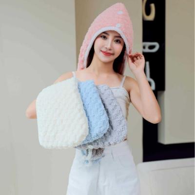 中国 ホーム カスタム ロゴ 洗濯後に迅速な乾燥と髪ケアのためのマイクロファイバーヘアドライヤータオル 販売のため