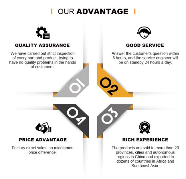 Company advantages infographic