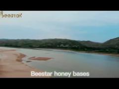 Natural Bee Honey Longan honey Pure Raw Honey for Direct Eat