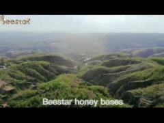 Miel d'abeille 100% naturel Miel d'acacia blanc pur Miel brut