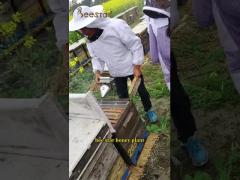 Χονδρικό φυσικό μέλι μελισσών μέλι σίνδρου 100% φυσικά προϊόντα μελισσών από την Κίνα