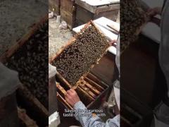 Vente en gros de miel d'abeille naturel miel de cidre 100% produits d'abeille naturels en provenance de Chine