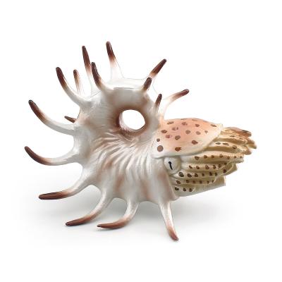 Cina Educativo Animale marino Nautilus Modello giocattolo Figura Desktop Decorazione Collezione Festa Favori Giocattoli per Ragazzi Ragazze in vendita