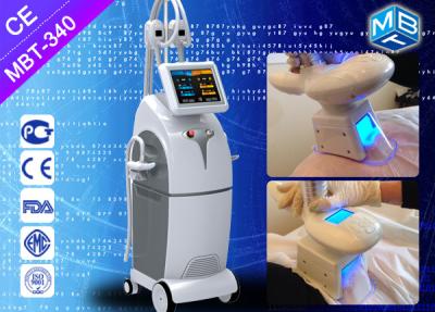 Cina Cryolipolysis che dimagrisce la macchina di congelamento grassa di riduzione celluliti di cryolipolysis/della macchina in vendita
