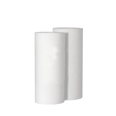 China Industriële waterfilter 10 inch actieve koolstoffilter cartridge voor waterbehandeling Te koop