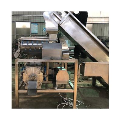 China Industrial Stainless Steel Juice Extractor Vegetable Mango Destoner Pulper Machine for sale