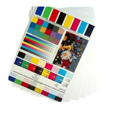 China Custom Size White Inkjet PVC Cards Sheet 0.31mm A4 Size For Inkjet Printer for sale