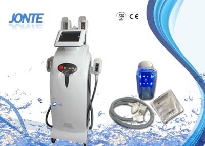 Cina Ente verticale di Cryolipolysis che dimagrisce la macchina di rimozione celluliti/della macchina in vendita
