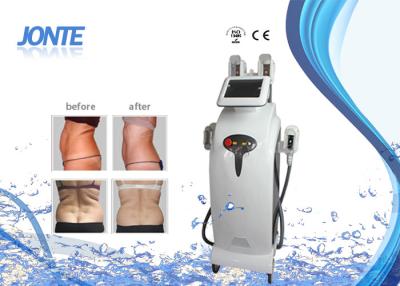 Cina Ente di congelamento grasso di Cryolipolysis che dimagrisce attrezzatura, macchina di rimozione della grinza in vendita