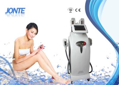 Cina Mini ente di Cryolipolysis di terapia di Cryo che dimagrisce macchina per il lisciamento dell'iso del CE della cicatrice in vendita