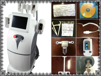 Cina Ente femminile di Cryolipolysis che dimagrisce macchina 2000W per la modellatura del corpo in vendita