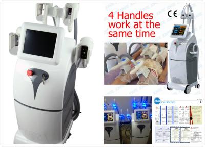 Cina Ente verticale di Cryolipolysis che dimagrisce macchina, attrezzatura bruciante grassa sicura in vendita