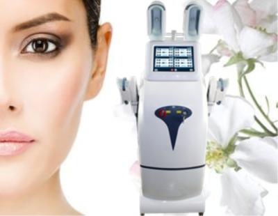 Cina Corpo di Cryolipolysis della macchina del peso di perdita che dimagrisce macchina ISO13485 in vendita