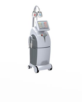 Cina Corpo di Cryolipolysis che dimagrisce la macchina grassa 50/60Hz di combustione dello stomaco in vendita