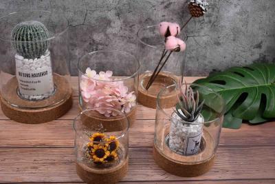 Chine Pot en verre inodore Cork Wood Base Groove de Toxicless 2,5 pouces pour le paysage micro à vendre