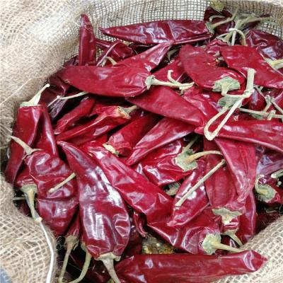 Κίνα HACCP 200g Yidu Chili Συστατικά 7 - 15cm Πικάντικη γεύση τσίλι προς πώληση