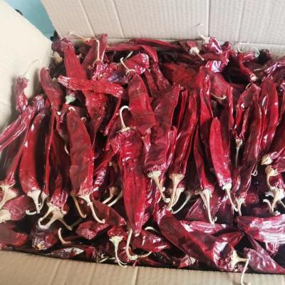Cina 1 anno di durata di conservazione Paprika dolce peperoncino secco Additivo di peperoncino rosso per ingredienti alimentari in vendita