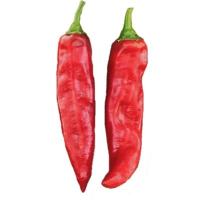Cina Tutti i peperoncini secchi naturali a calore lieve in vendita