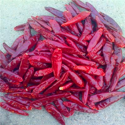 중국 12% 수분 건조 새 눈 고추 Chaotian 전체 붉은 고추 7CM 판매용