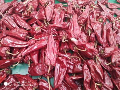 Κίνα 8000 πικάντικα τσίλι Beijinghong Jinta γεύσης τσίλι τσίλι SHU Yidu προς πώληση