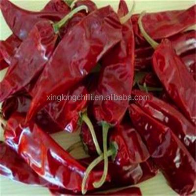 Κίνα Ενιαίο χορτάρι τσίλι Guajillo κόκκων το ξηρό αφυδάτωσε την πικάντικη κόκκινη πάπρικα προς πώληση