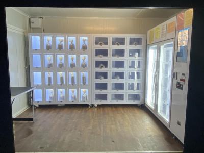 China Máquina expendedora de casilleros mejorada para la conveniencia del cliente para una accesibilidad 24/7 y una experiencia de compra sin contacto en venta