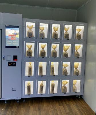 China Máquina expendedora de casilleros mejorada para la conveniencia del cliente para una accesibilidad 24/7 y una experiencia de compra sin contacto en venta