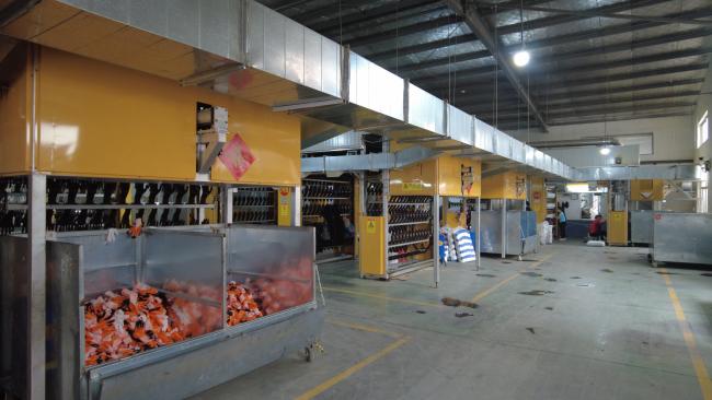 Glove production line control system and interface