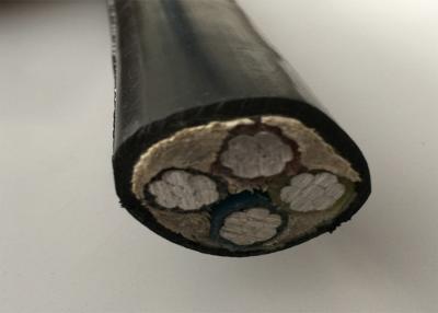 Cina IEC standard concentrico spaccato BS dell'isolamento 4x10mm2 ASTM del cavo XLPE di servizio aereo in vendita